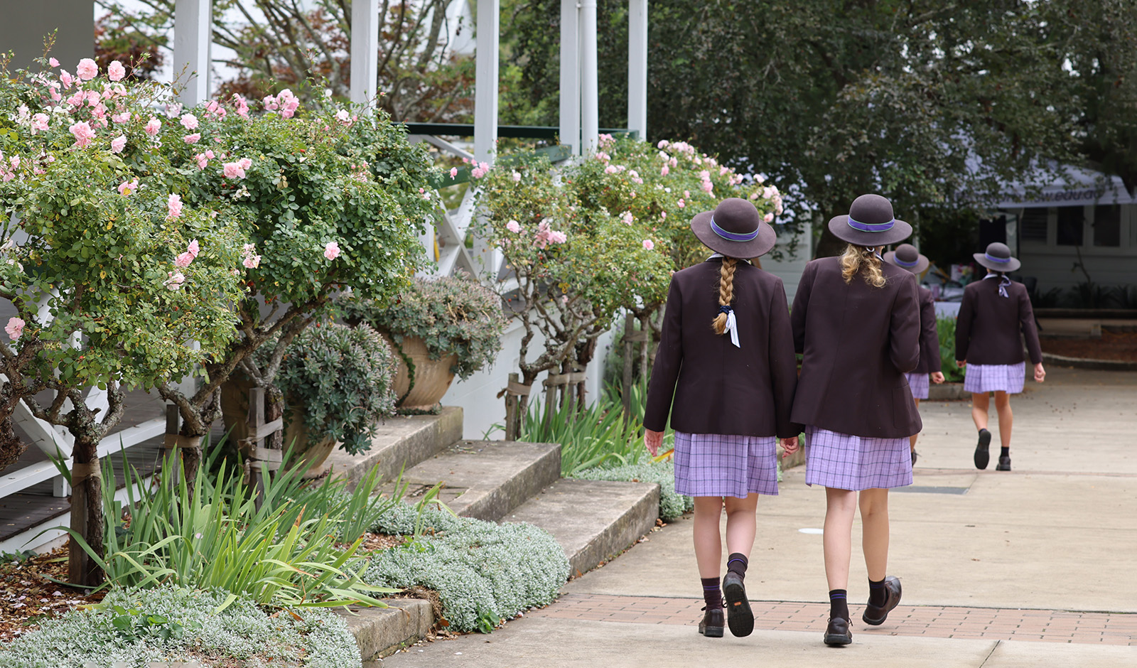 The Iris Edition #16 - Frensham Schools